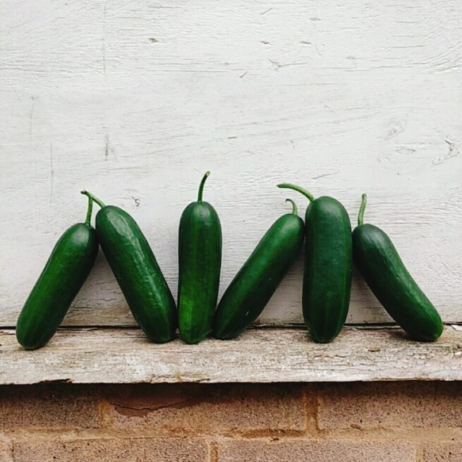 Eat the seasons! Discover what's great right now - Unicorn Grocery